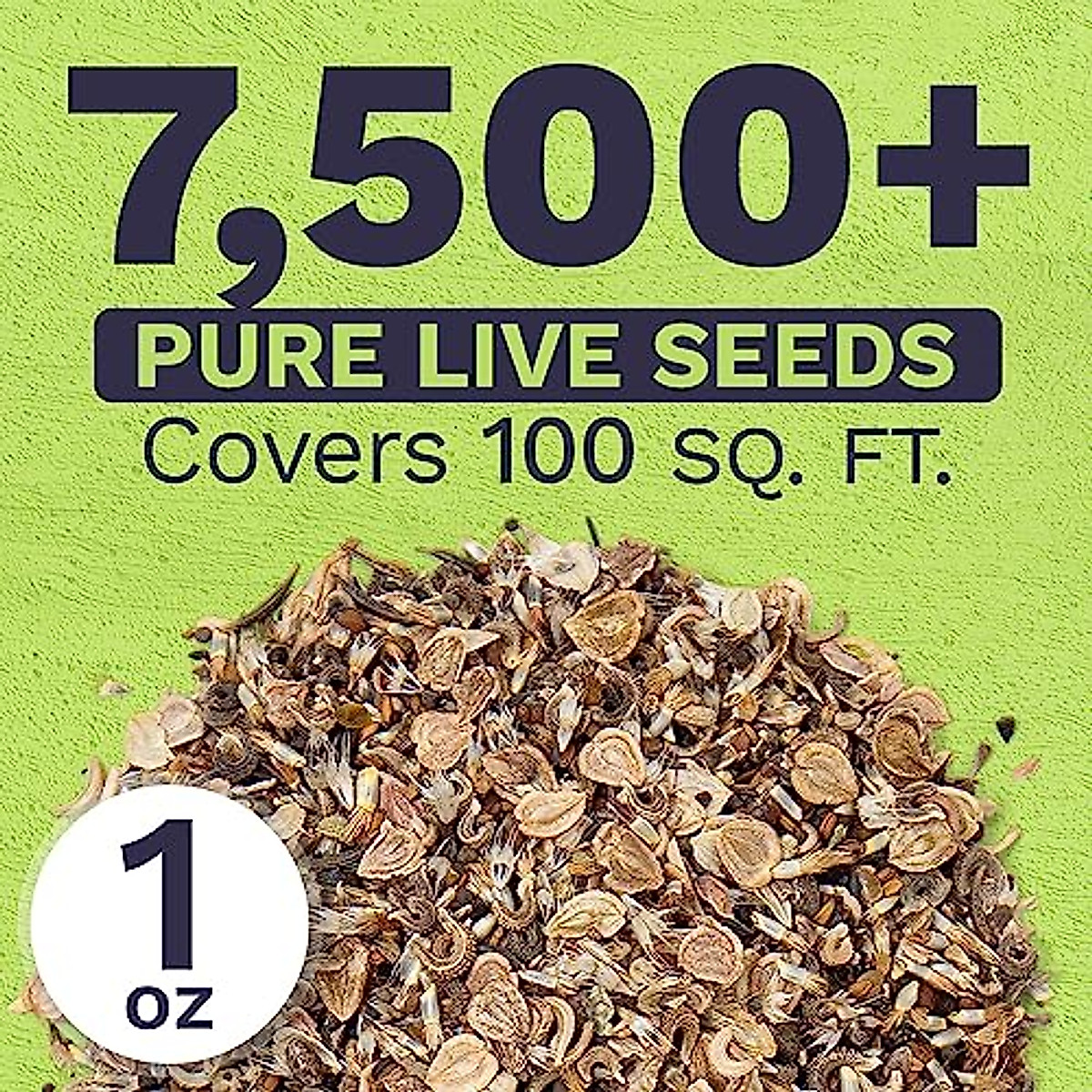 Wildflower Seeds Annual Quick Blooming Mix - Large 1 Ounce Packet Over 7,500 Open Pollinated Seeds