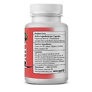 WorksSoWell 1TDC Dual Action Natural Support – 60 Twist Off Soft Gels | Delivers 4 Health Benefits for Dogs & Cats | Supports Oral, Hip & Joint Health, Muscle & Stamina Recovery, Skin & Coat Health