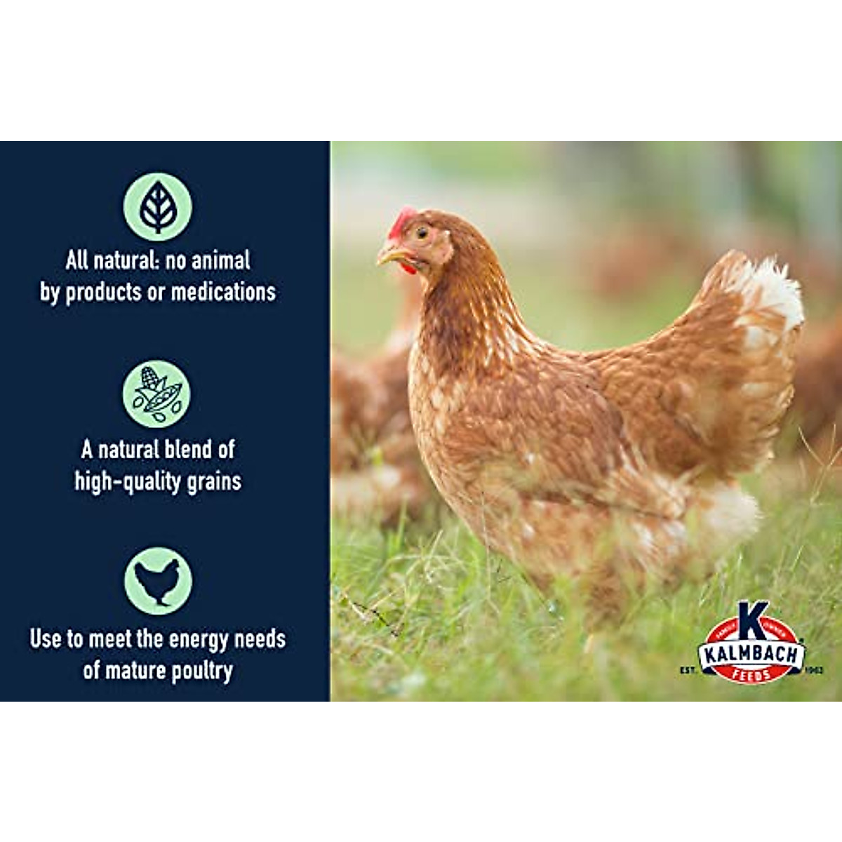 Kalmbach Feeds All Natural 5 Grain Premium Scratch Grain Treat for Chickens