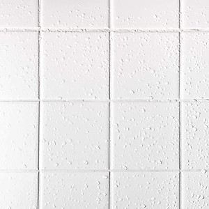 AQUA-X 16 Oz. Grout Sealer, Clear Grout and Tile Sealer, Natural Finish, Professional Grade, Indoor & Outdoor, Fast Dry and Long Lasting Protection