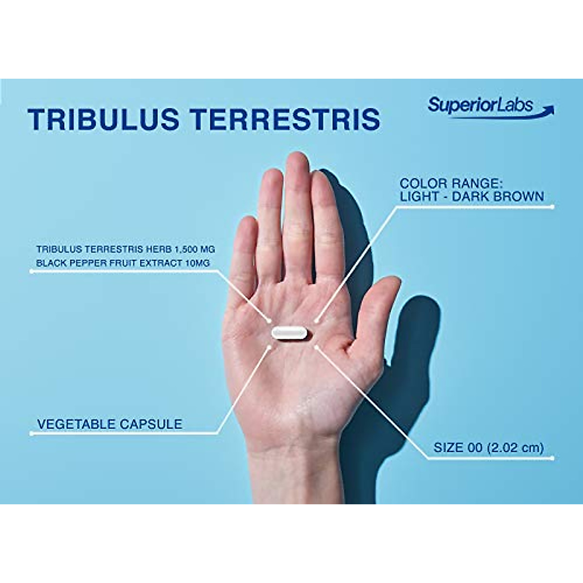 Superior Labs - Tribulus Terrestris - Performance Support & Cortisol Blocker with 45% Saponins, High Potency & Pure 1500mg Dosage, 180 Vegetable Caps - Supports Vitality - with Added BioPerine®