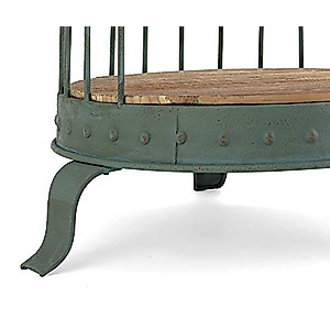 IMAX 47489 Charlotte Birdcage Shelf