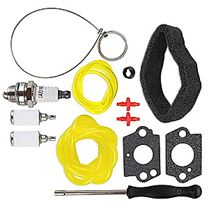 partszen 308054114 308054075 Carburetor for Homelite Carburetor Fits for 26B Leaf Blower UT09526 with Carburetor Adjusting Tool Air Filter