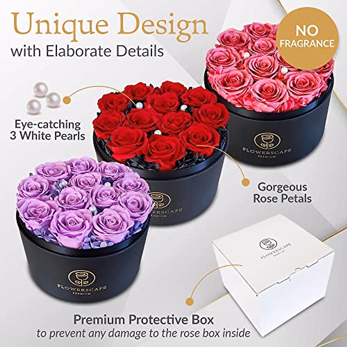 12 Forever Roses in a Box - Preserved Rose Bouquet - Valentines Mothers Day Anniversary Birthday Flowers for Women Mom Wife Girlfriend and Her (Round-Purple)