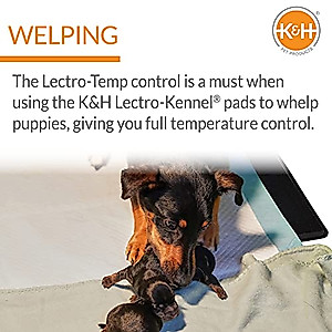 K&H Pet Products Lectro-Temp Control