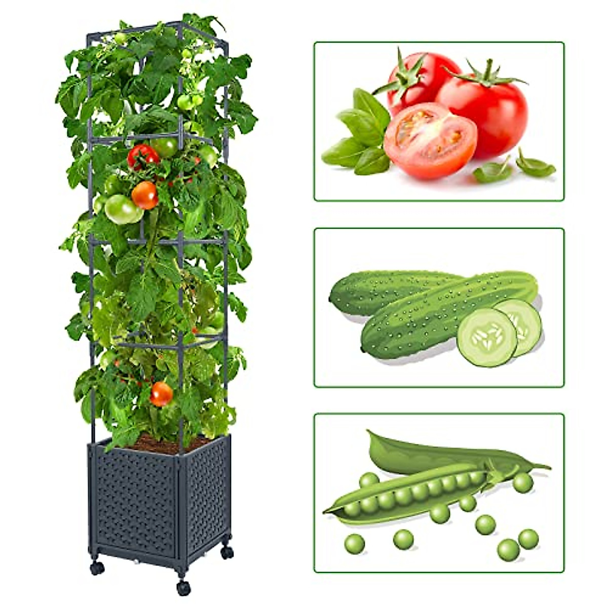 LINEX Raised Garden Bed Planter Box with Trellis, 56.7” Tomato Planters for Climbing Plants Vegetable Vine Flowers Outdoor Patio, Tomatoes Cage w/Self-Watering & Wheels