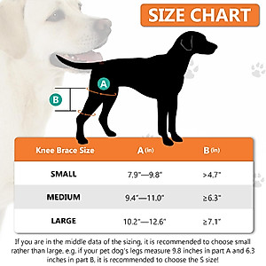 Dog Knee Brace Leg Braces with Side Stabilizers for Dogs Support for Torn ACL CCL Hind Leg, Knee Cap Dislocation, Cruciate Ligament Injuries, Patella Dislocation or Osteoarthritis （L）