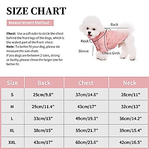 Small Dogs Winter Warm Coat, Water-Resistant Fleece Puppy Vest, High Collar Warm Padded Rainproof Snowsuit, Lightweight Outdoor Windproof Dog Clothes with Zipper and D Ring, Doggie Puffer Jacket