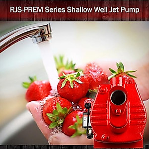Red Lion RJS-100-PREM 1 HP, 23 GPM, 115/230 Volt, Premium Cast Iron Shallow Well Jet Pump, Red, 602208, 9.1 x 17.8 x 9.1 inches