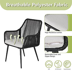 Olaterior Patio Dining Chairs Set of 2, Outdoor Dining Chairs, All-Weather Woven Twisted Wicker Rattan Chair with Armrest and Cushion, Modern Indoor Outdoor Seating for Garden, Lawn, Backyard, Black