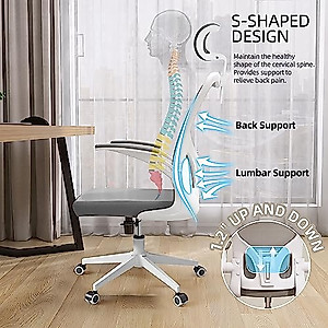 Monhey Ergonomic Office Chair, Home Office Desk Chairs with Adjustable Headrest, Lumbar Support, 2D Armrest, Big and Tall Office Chair 220lbs Heavy Duty Office Chair with Metal Base - Grey
