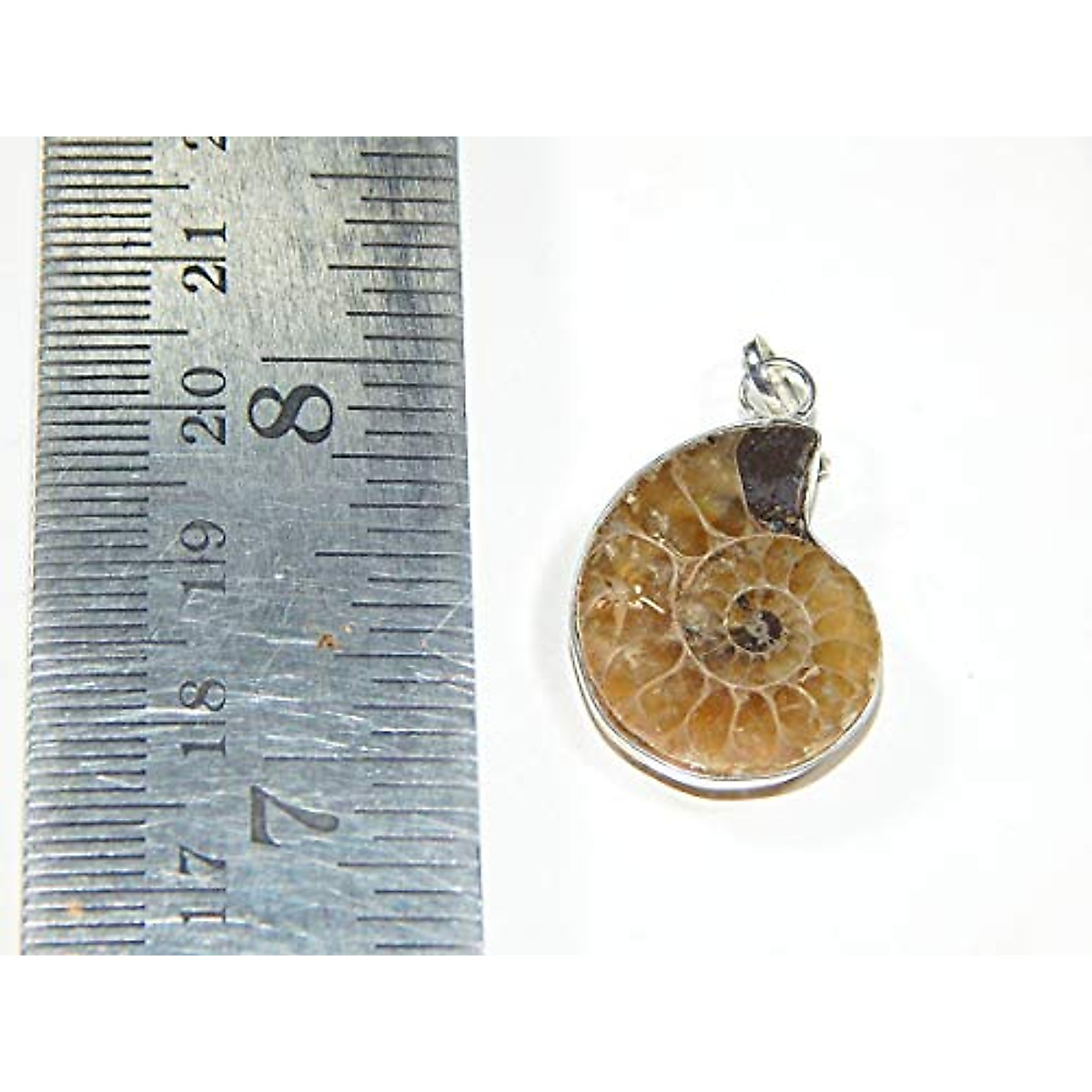 XUETZALCOATL Golden Shaligram Locket Energized 1 Pcs