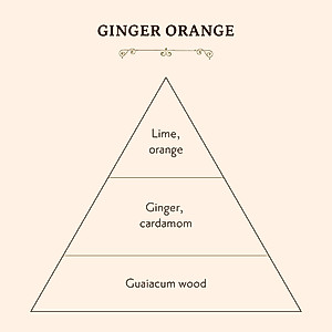 Sabon Shower Oil - Ginger Orange | Cleansing & Nourishing Body Wash | Lime, Orange, Ginger | Enriched with 4 Natural Oils | 10.1 Fl Oz