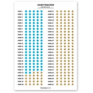 Panda Planner Habit Tracker Wall Calendar - 5 Per Week Habit Scratch Off - Self Care & Goal Accountability - Visual Progress
