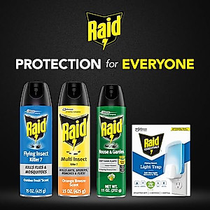 Raid S C Johnson Wax 81666 Fly/Insect Killer, 18-Ounce