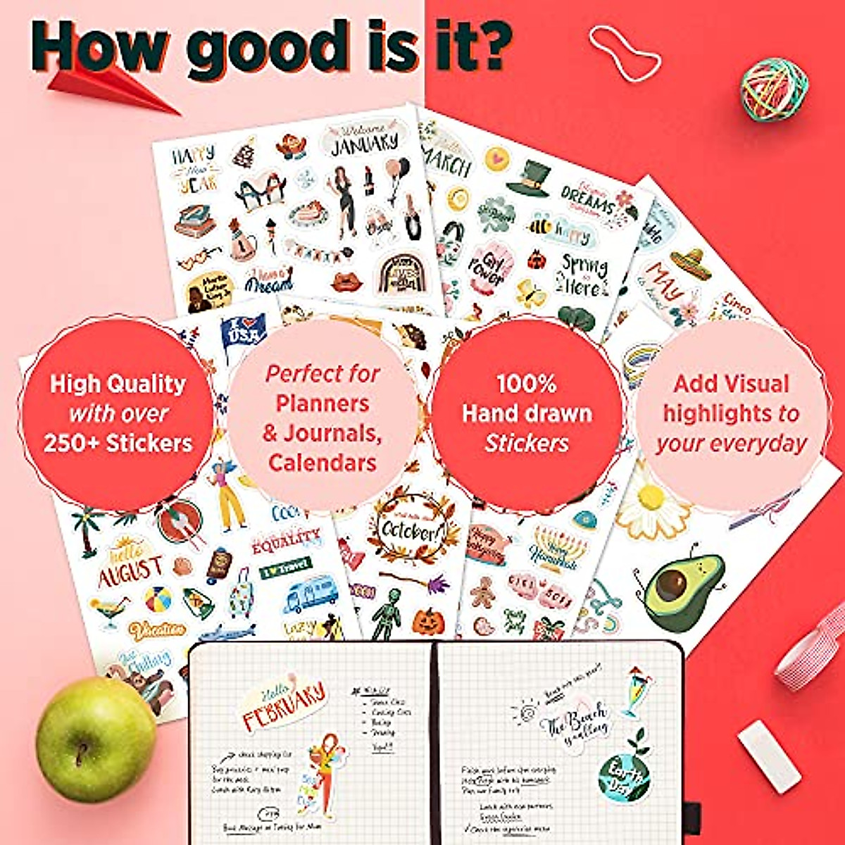 Happy Holiday Seasonal Planner Stickers - 500+ Cute Stickers for Daily Planners – Monthly Events, Halloween, Calendars, Journal, Female Empowerment, Teachers, 6 Water Bottle Stickers Pack