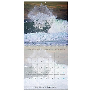Surfing Passion (Wall Calendar 2024 12" × 12"), CALVENDO 12 Month Wall Calendar