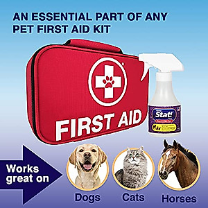 Stat! Spray Pet Wound & Skin Care | First-Aid Treatment for Dogs, Cats, Horses | Natural Plant Based Ingredients | Speeds Healing of Cuts, Burns, Hot Spots, Skin Allergies | Soothing Anti-Itch Formula