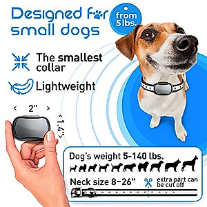 Extra Small Size Dog Training Collar with Remote for Small Dogs 5-15lbs and Puppies with Shock - Waterproof & 1000 Ft Range