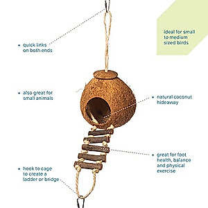 Prevue Hendryx 62801 Naturals Coco Hideaway with Ladder Bird Toy,1 Count (Pack of 1)