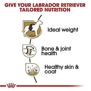 Royal Canin Labrador Retriever Adult Dry Dog Food, 30 lb bag
