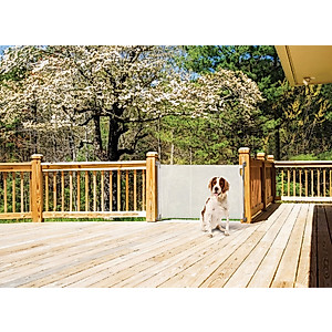 Dreambaby Retractable Gate