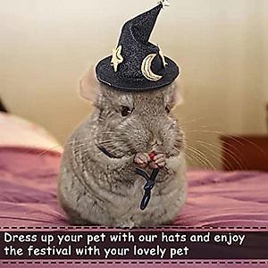 FEBUD 1/4 Pieces Halloween Pet Hats, Adjustable Mini Cute Pet Hat, Hamster Hat for Pets, Halloween Pet Costume Accessories for Snake, Hamster, Guinea Pig