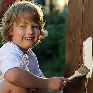 Paint Brushes for Walls, 3-inch Stain Brushes for Wood and Fence Staining, Paint Brush with Long Handle Extender