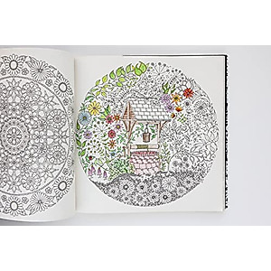 Secret Garden: An Inky Treasure Hunt and Coloring Book for Adults