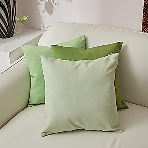 Tayis Green Throw Pillow Covers, Cotton Canvas Soft Square Pillow Cases 18x18 Set of 4, Decorative Pillows Suitable for Sofa Couch Bed Car Home