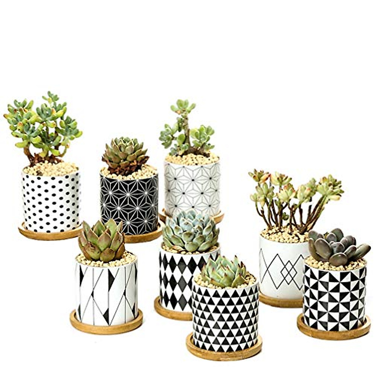 Cabilock Plant pots Ceramic Bonsai pots Ceramic Planter pots Small pots Ceramic Plants Pots Ceramic pots Tiny Plant Succulent pots Mini vases Round vase Simple Flower Pot Desktop Mini Basin