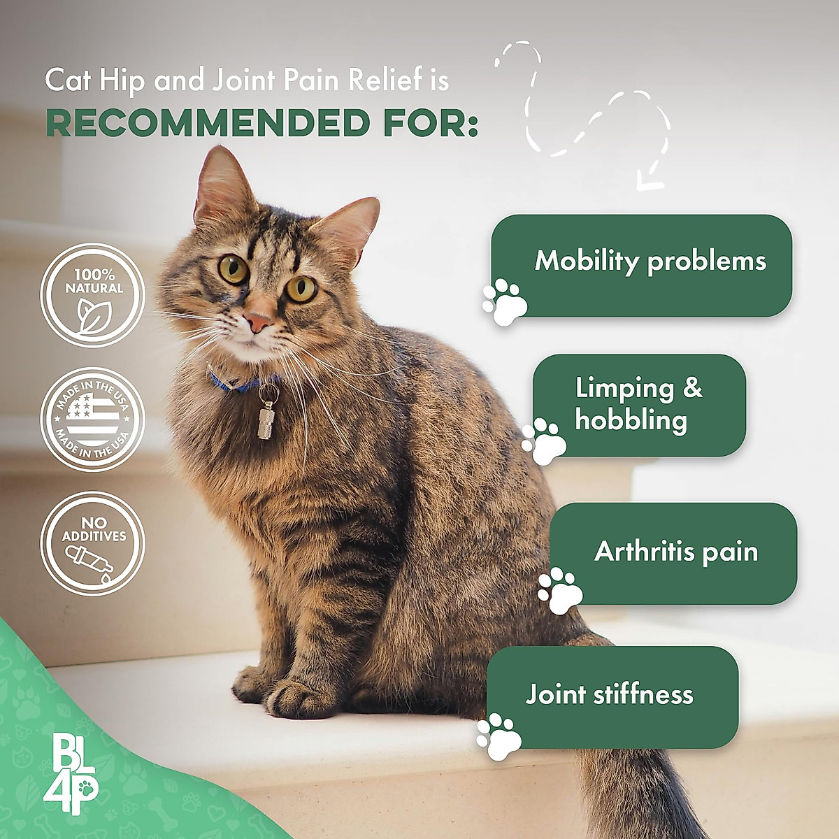Cat Hip and Joint Pain Relief Supplement - Cat Arthritis Pain Relief, Heal from Sprains, Inflammation and Injuries, Improve Mobility - Natural Easy-to-Swallow, Odorless, Tasteless - 400 Pills