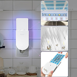 Flying Insect Trap - Indoor Fly Trap,4 PCS Highly Effective UV Blueish-Purple Light,Flying Insect Trap with Sticky Pads,for Flies, Fruit Flies, Moths, Gnats, and Other Flying Insects (4 pcs)