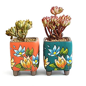 Summer Impressions 4.88 Inch Tall Hand Painted Square Succulent Planter Cactus Planter Pot Bonsai Pot Clay Pot Flower Pot Floral Design Indoor Outdoor Pack of 2 (Tall Square Orange and Green)
