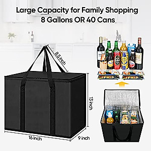 BALEINE 2Pk Insulated Reusable Grocery Bags, Collapsible Cooler Bag for Groceries, Heavy Duty Large Insulated Bag (Large, Charcoal Black)
