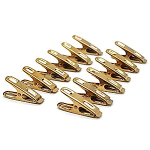 AITRAI Stainless Steel Clothespins-50 Pack Gold Clothespins Wire Metal Clothes Pins Laundry Clips for Outdoor Clothesline Home Kitchen Travel Office Decor Food Bag (Gold)
