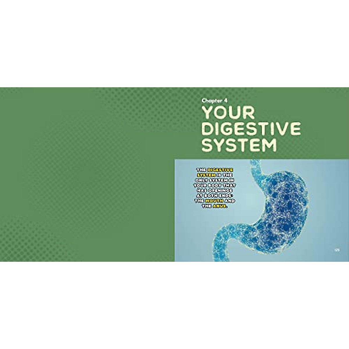 The Fascinating Human Body Book for Kids: 500 Phenomenal Facts! (Fascinating Facts)