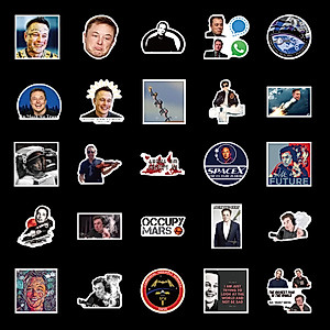N&S [FOCUS's Stickers]100Pcs Elon Musk Stickers for Laptop Cellphone Water Bottle Hydro Flask Skateboard Luggage Car Bumper, etc FJKT, FS028