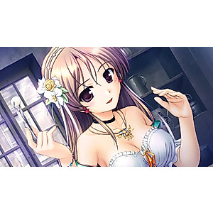 Eustia of the Wings - PS4 (Amazon.co.jp Exclusive, Set of 3 Postcards Included)