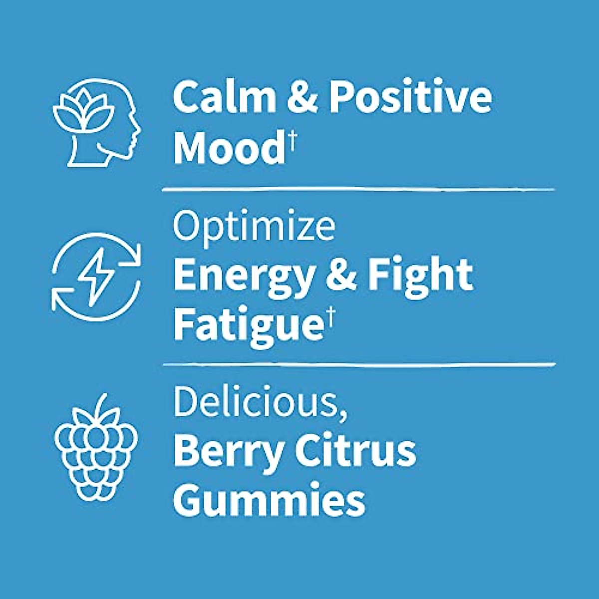 Garden of Life Stress Relief Gummies, Non-GMO Supplement for Calm & Positive Mood - Berry Citrus - 60 Count, Vegan Energy Support with L-Theanine Lavender Gummy Vitamin, Dr Formulated (30 Day Supply)