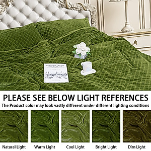 greenoak Velvet Duvet Cover Queen Size,Sage Green Ultra Soft Breathable Flannel Winter Duvet Comforter Cover Set (90" X 90"), Fuzzy Duvet Cover Bedding Sets & Collections with 2 Pillow Shams