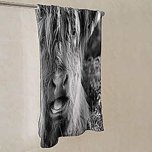 Hand Towel Highland Cows Moorland Face Washcloths Fingertip Bath Towels 27.5 X 15.7 Inch Microfiber Quick Dry Soft Absorbent Luxury Kitchen Dish Cloth for Bathroom Beach Gym Hotel Salon Spa Sport