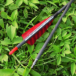 ELONG 6PCS 30" Arrows for Compound Bows,Pure Carbon Hunting Arrows for Archery Spine 700 with 100 Grain Screw Tips,4" Turkey Feathers, for Compound & Recurve & Traditional Bow