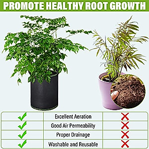 Mimorou 40 Pack 5 Gallon Fabric Grow Bags Nonwoven Aeration Fabric Pots with Handles Heavy Duty Thickened Aeration Container for Garden and Planting Vegetable Flowers, Black with Green, Black,green