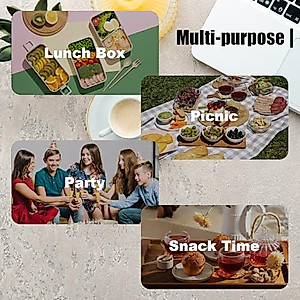 30PCS Double Compartment Condiment Containers with Lids, Portable Reusable Sauce Container Dressing Containers with Lids for Dip, Condiment, Sauce, Sampling and Travel Snacks