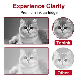 245XL Ink Cartridge Replacement for Canon Printer Ink 245 Black XL Ink PG-245XL PG 245 Use with PIXMA MX492 MX490 MG2522 MG2920 MG2420 MG2520 MG2922 TS3100 TS3122 TS3320 TR4520 TR4522 Printers