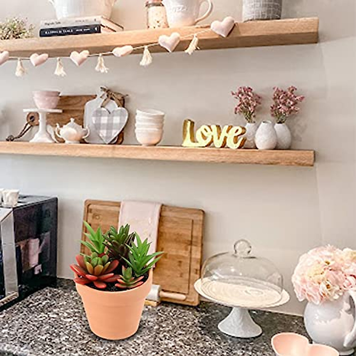 Briful Small Succulents Artificial 2 Pcs Fake Succulent Plants Faux Succulents in Pots Assorted Succulent Arrangements for Home Office Bathroom Room Shelf Rustic Farmhouse Windowsill Decor