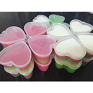 AKOAK 45ml Heart Shape Plastic Storage Box with Cover Transparent Container Organizer Jewelry Earring Spice Storage Box Leakproof Container