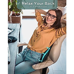 SEG Direct Lumbar Support for Car, Ergonomic Back Support for Office Chair, Driving Fatigue Back Pain Relief, Memory Foam with Breathable Leather, for Car Home Office Chair Recliner Couch