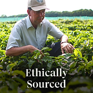 Starbucks K-Cup Coffee Pods, Peppermint Mocha Naturally Flavored Coffee for Keurig Brewers, 100% Arabica, Limited Edition Holiday Coffee, 6 Boxes (60 Pods Total)